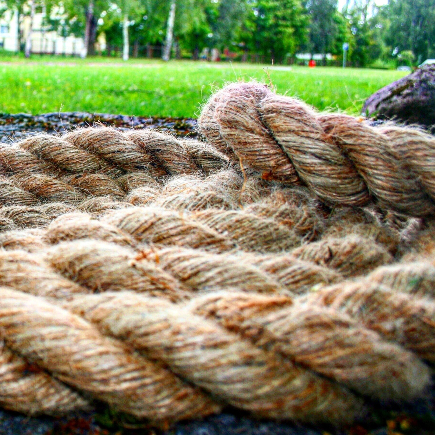 Natural Climbing Rope 6.6-66 Feet Long, 1.2" Thick Organic Climbing ...