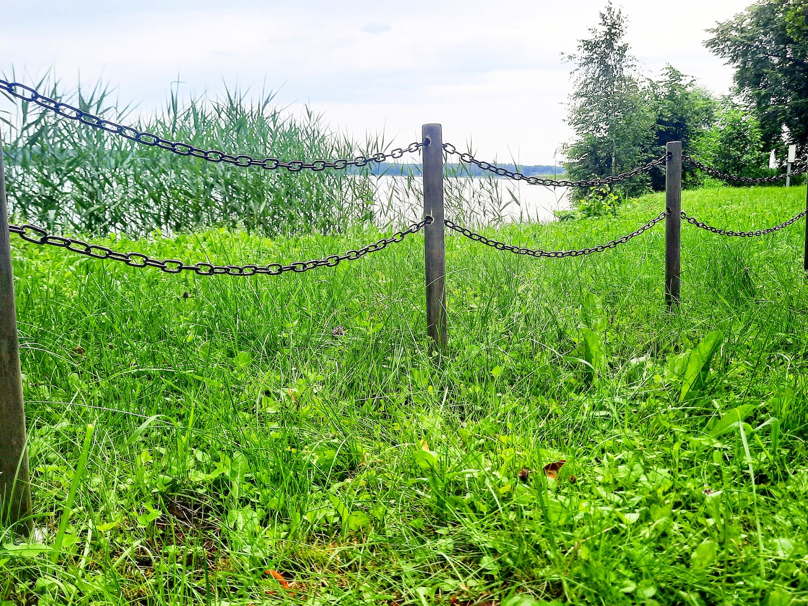 Black Chain Fence for Gardens Parks and Backyards, Practical and ...