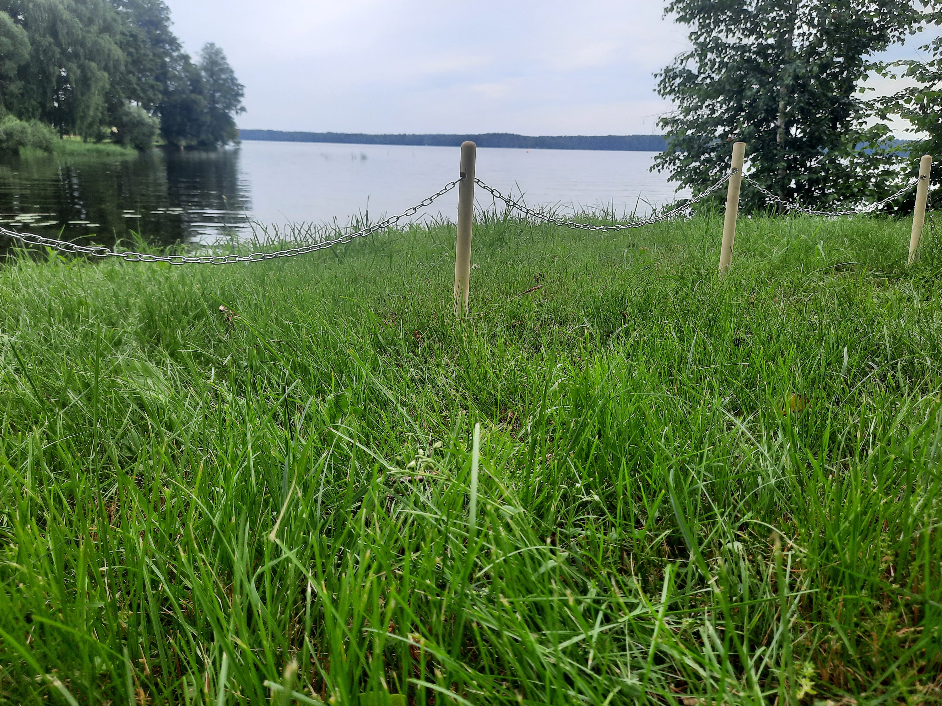 Chain Fence for Gardens,parks and Backyards, Practical and Decorative 6 ...