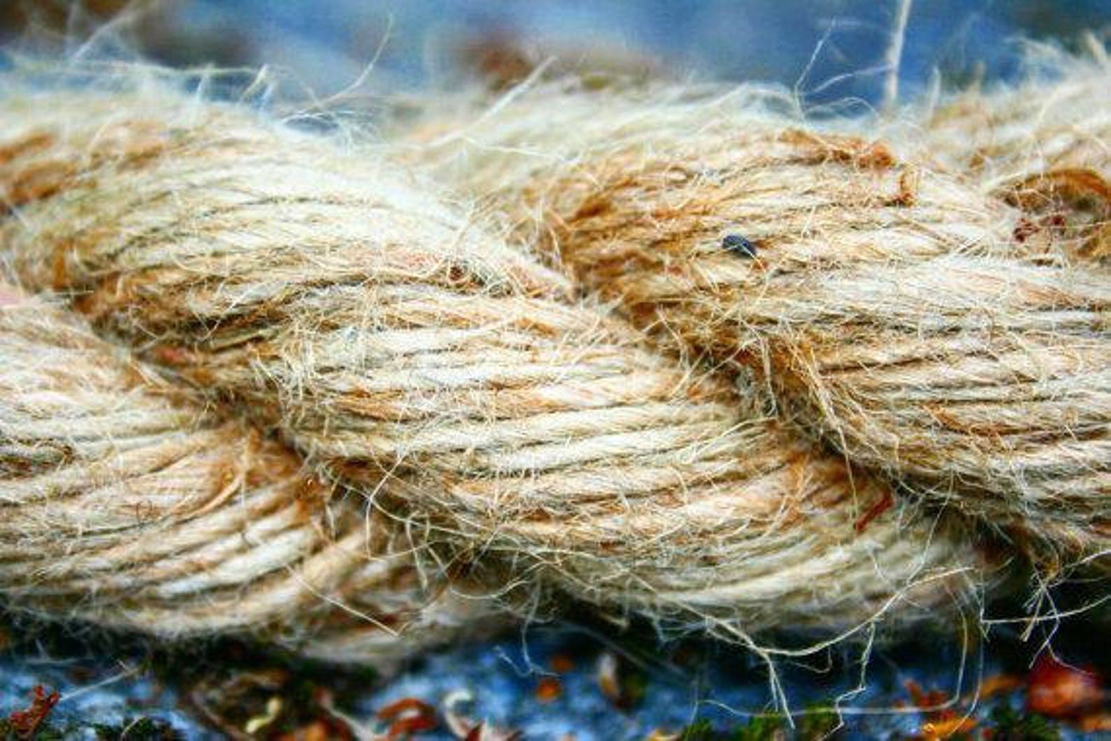 Tree Swing With Disc Seat and Thick Rope for Good Grasp - Etsy