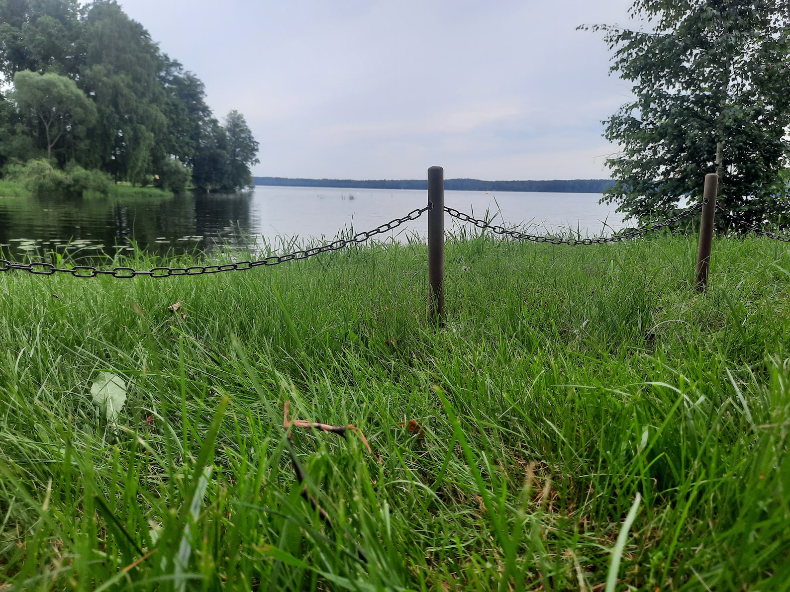 Chain Fence for Gardens, Parks and Backyards, Practical and Decorative ...
