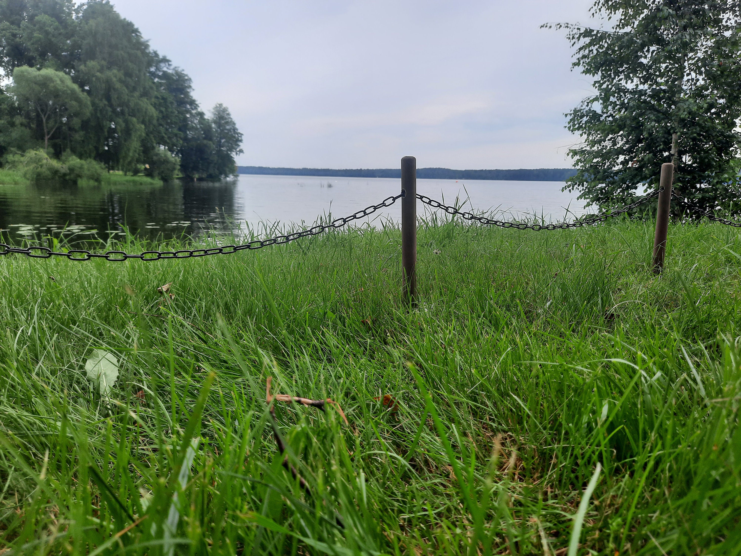 Chain Fence for Gardens, Parks and Backyards, Practical and Decorative ...