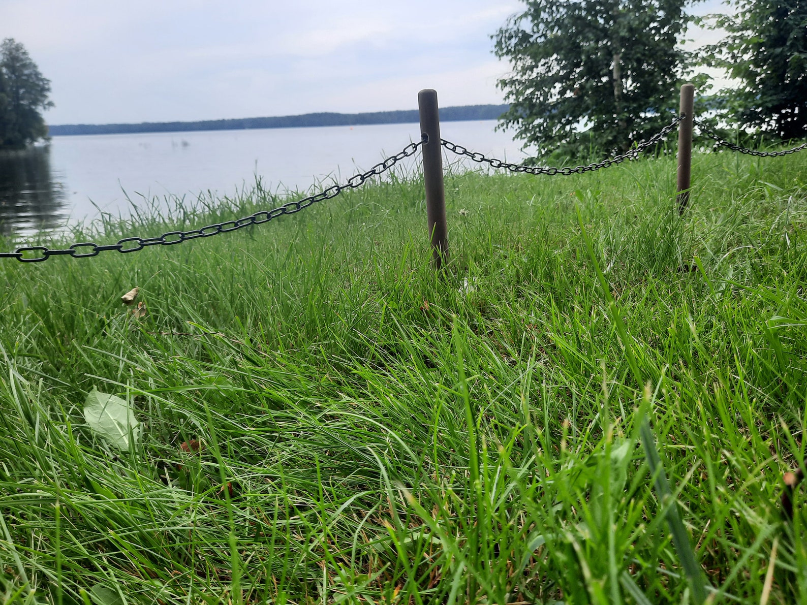 Chain Fence for Gardens, Parks and Backyards, Practical and Decorative ...