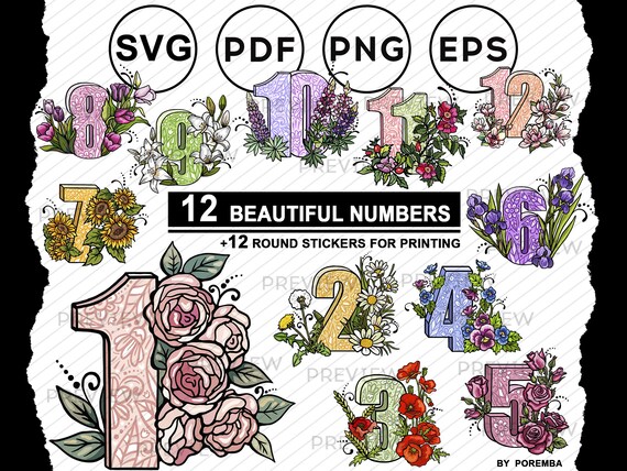 Beautiful Numbers Clipart Set. Number Icons. Round Number - Etsy