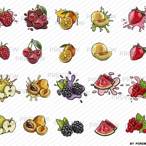 Fruits and Berries Vector Clipart. Images and Icons for Cocktail or ...
