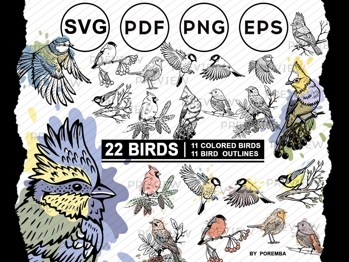 Birds Clipart. Bird Outline and Stencil. Laser Cut. Image and ...
