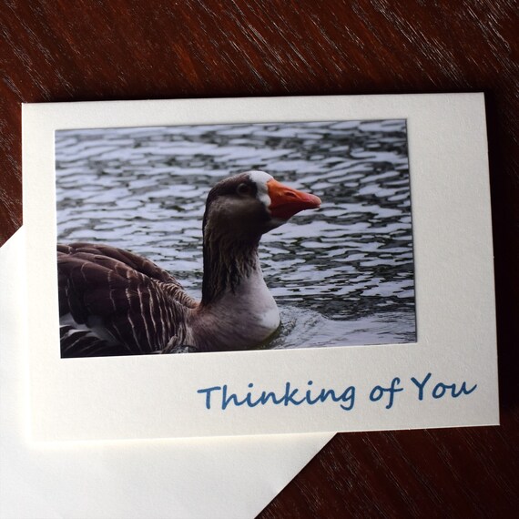 Goose Blank Note Card Thinking of You Card Bird Note Card 4 | Etsy