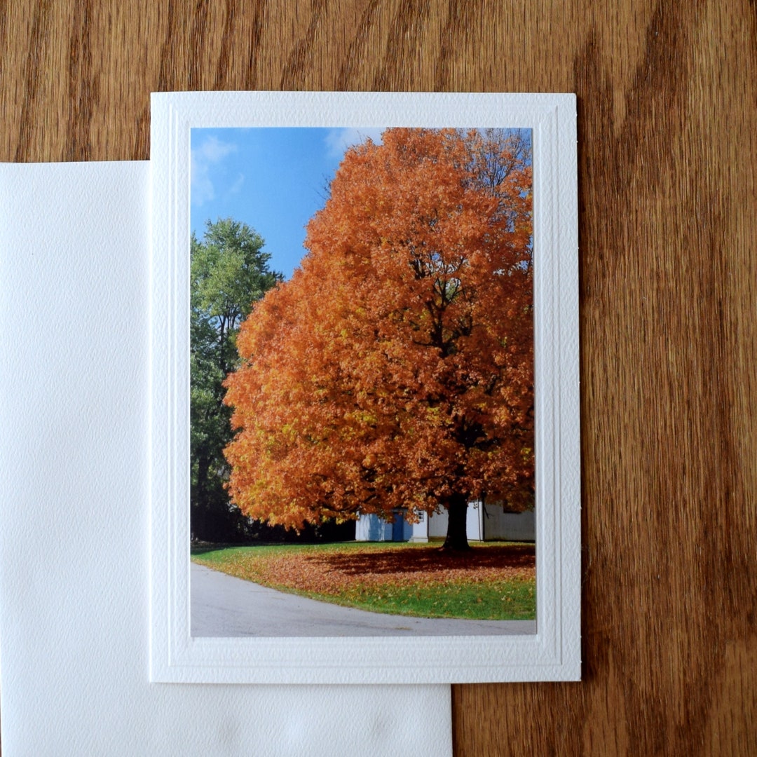 5x7 Note Card Colorful Fall Tree on Blank Note Card Fall Blank Note ...