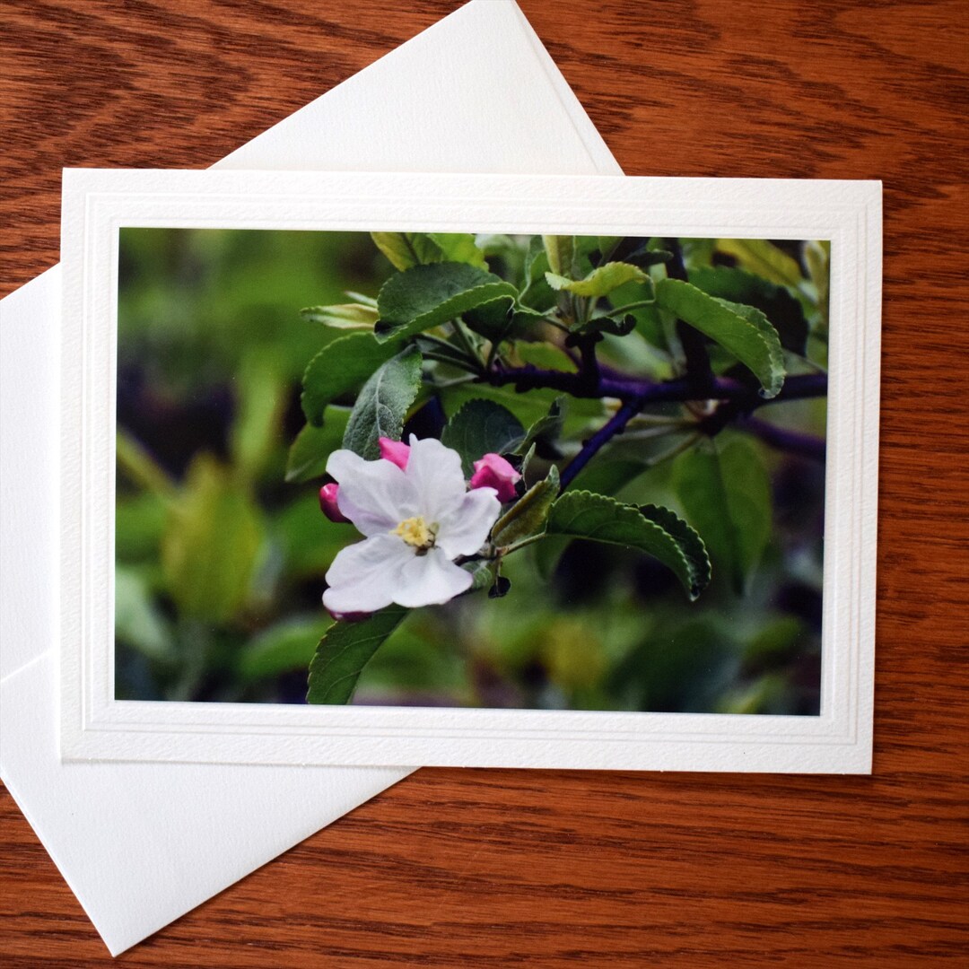5x7 Spring Blossom Note Card; Blank Photo Greeting Card; Embossed Note ...