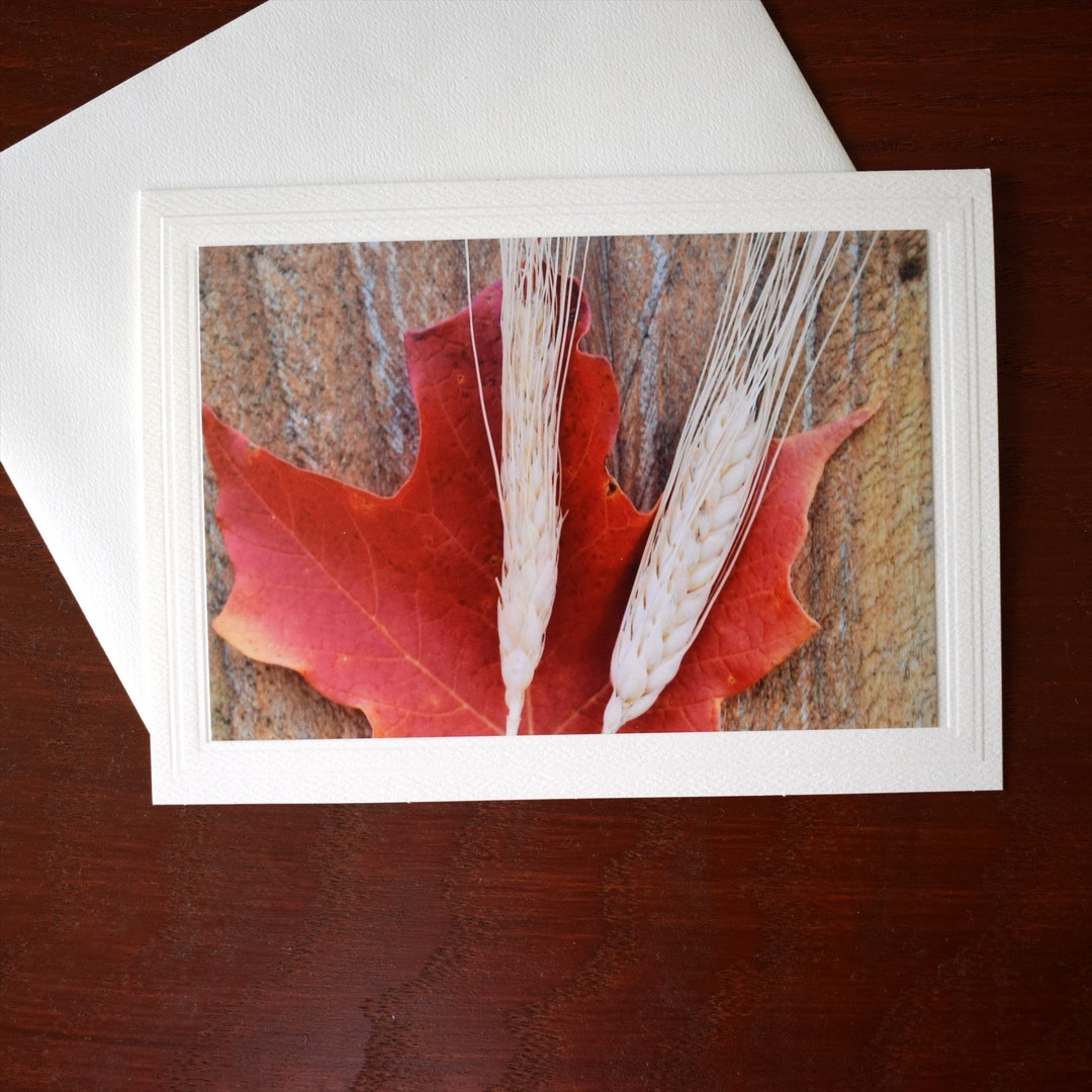 Wheat and Fall Leaf Blank Note Card; 5x7 Autumn Photo Greeting Card ...