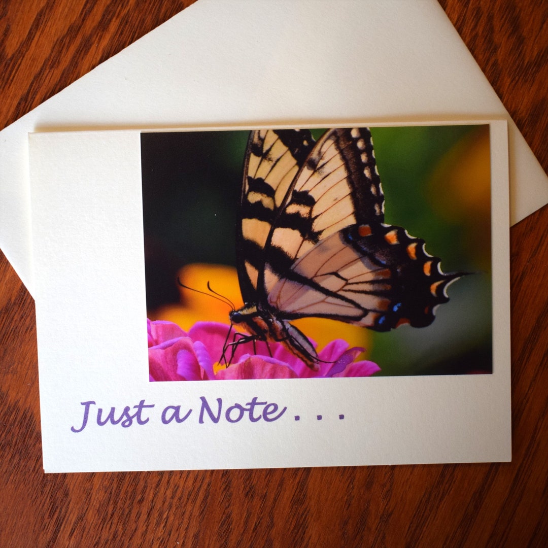 SALE Small Blank Note Card Butterfly Note Card Just a Note Card 4 X 5.5 ...