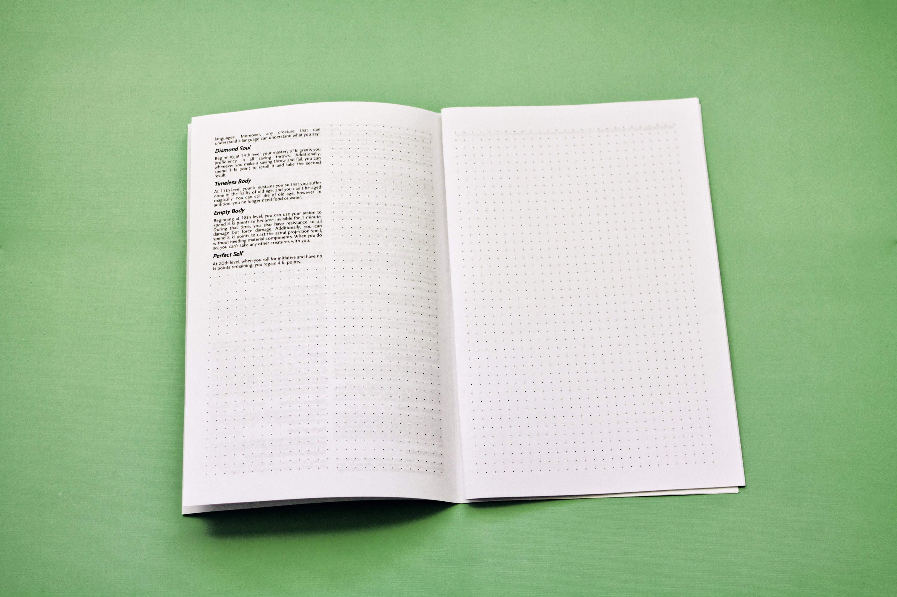 Minimal Monk Journal for Dnd 5e - Printable/fillable Pdf ...