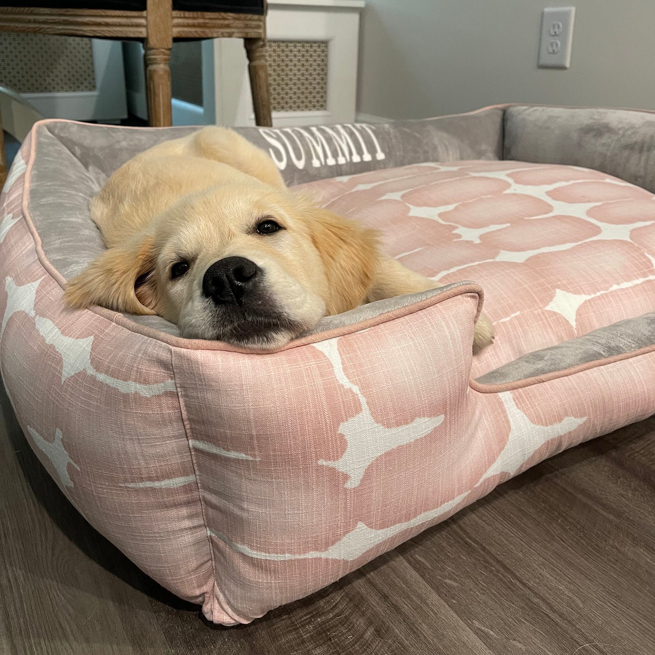 Custom Pink Dog Bed | Sustainable Pet Bed | Large Dog Bed With ...