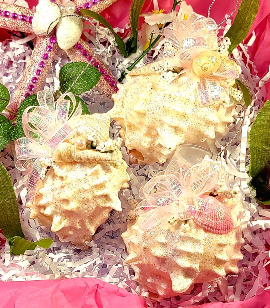 Genuine Pink Murex Seashell Ornaments, One of a Kind Decorative Shells ...