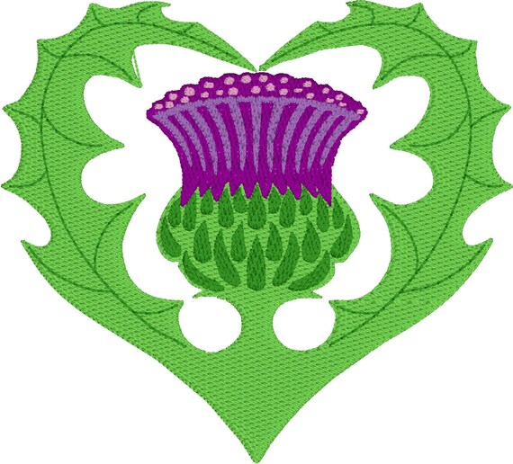 Scottish Thistle 4x4 | Etsy