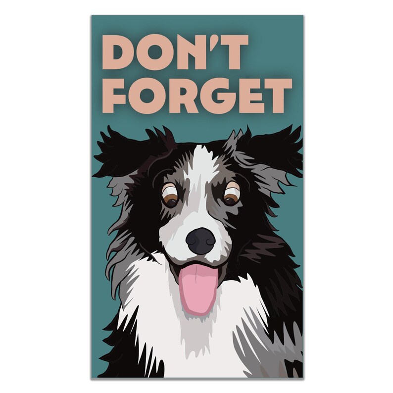 Dog Grooming Appointment Reminder Cards, Matte - Poodle Design, Vet ...