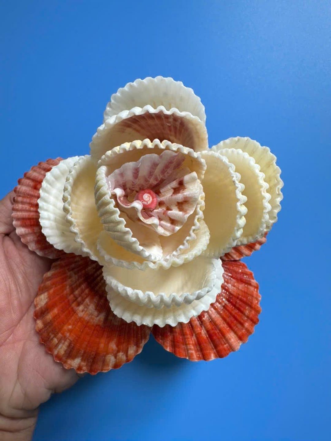 Handicraft Seashell Flower | Natural Shell Decor | Beach Gift | Ocean ...