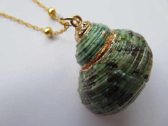 Pendant-green Turban Shell Pendant-hand Painted in Gold Along - Etsy