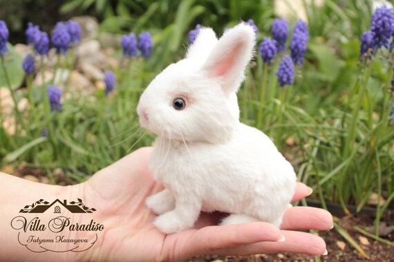 White Dwarf Rabbit Realistic Animal Doll Stuffed Cute Bunny - Etsy