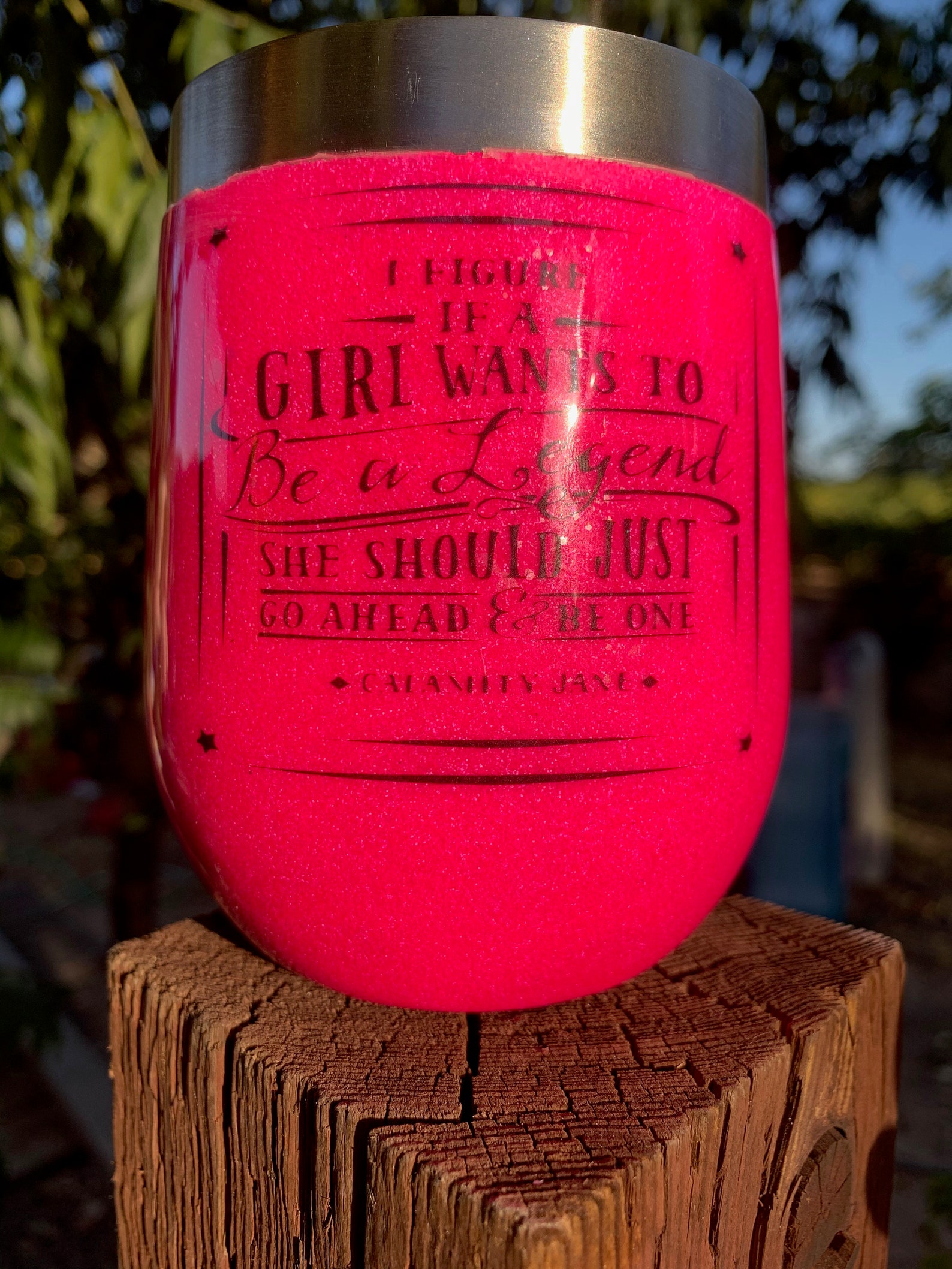 Girl Legend Calamity Jane Stainless Steel Wineglass 12 Oz - Etsy