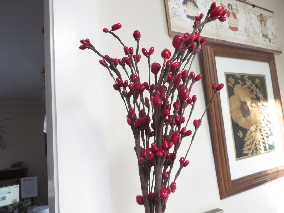 Super Long and Full RED BERRY PIP Berry Spray Mixed Sizes Red Pip ...