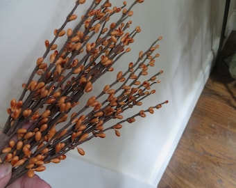 FALL PIP BERRY Stems Pumpkin Colored Pip Berries Orange Pip Berry ...