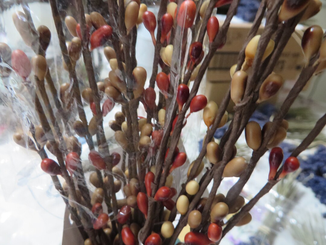 RUSTIC PIP BERRY Stems Orange Cream and Brown Pip Berries Fall Decor - Etsy