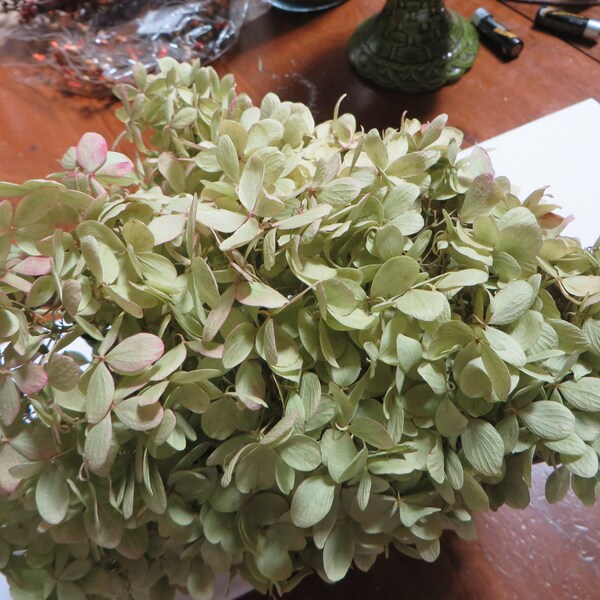 Dried Hydrangeas - Etsy