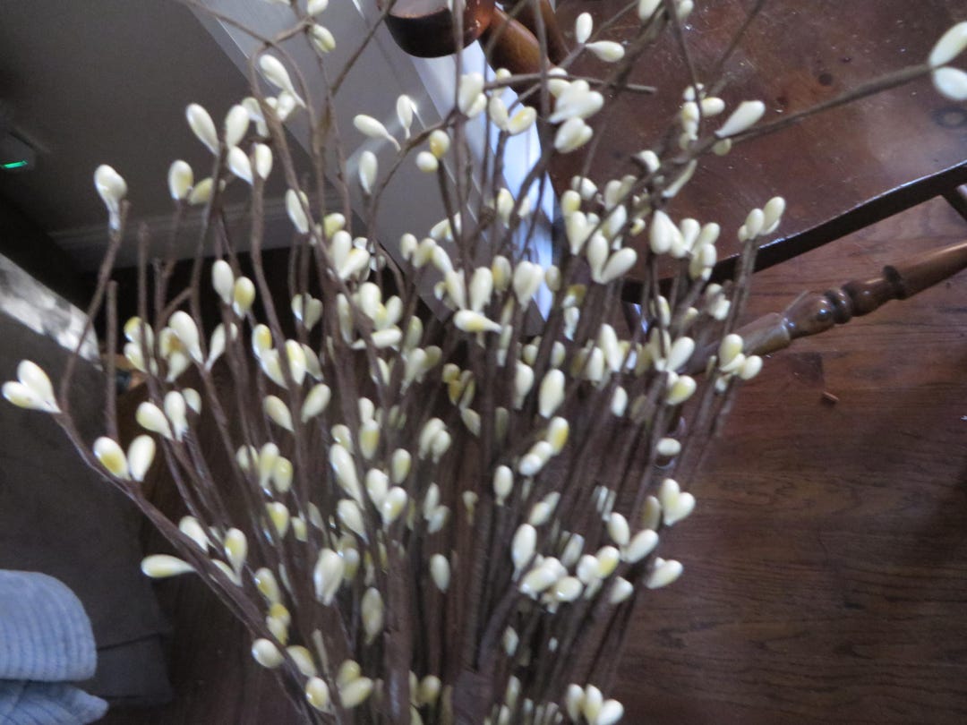 Very Full CREAM Pip Berry Sprays Sale! White Yellow Pip Berries - Etsy