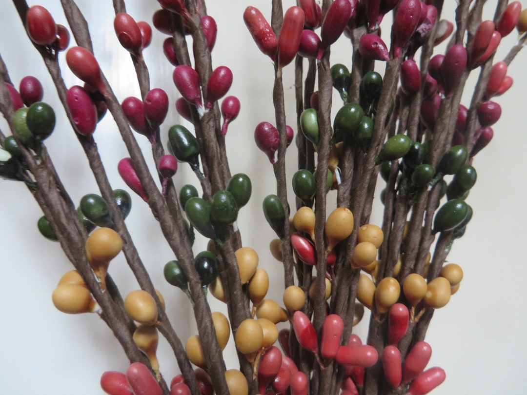 MULTI COLOR PIP Sprays Beautiful Complementary Colors Pink Green Yellow ...