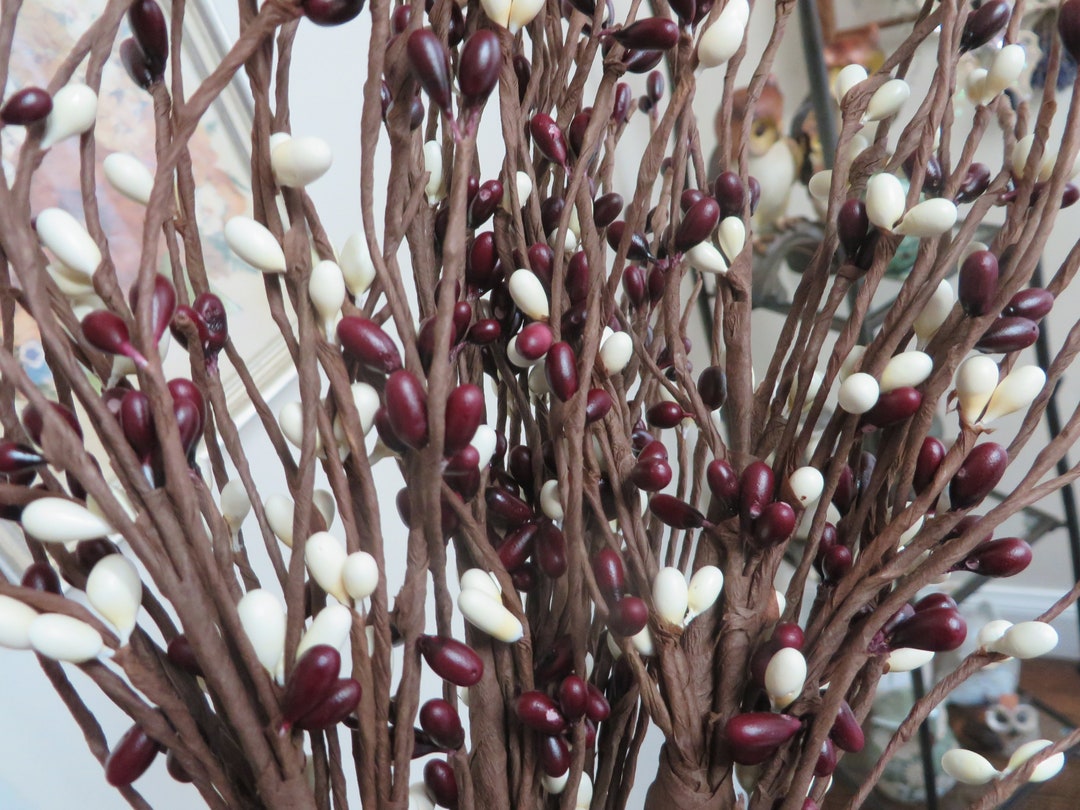 RUSTIC PIP BERRY Sprays Burgundy and White Pip Berries Full Multiple ...