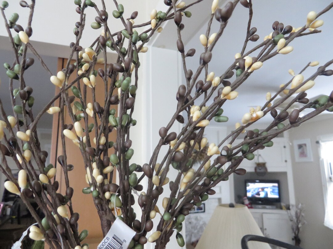 Extra Long COFFEE BEAN PIP Berry Spray - Etsy