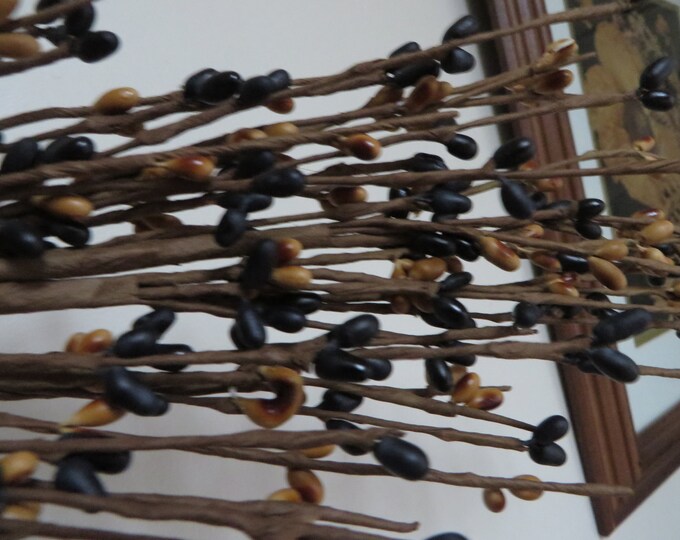 Long and Full BLACK and TAN PIP Berry Spray Sale! - Etsy