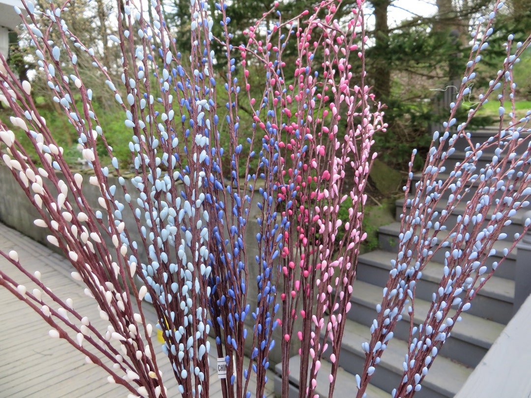 Mini PIP BERRY SPRAYS Extra Long Pip Berry Stems Tiny Light Blue ...