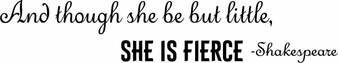 Little but Fierce Wall Quotes Decal Vinyl Sticker Home - Etsy