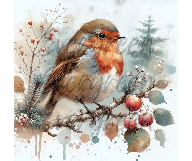 Robin Scene Bundle, 4 Styles, Farmhouse, Instant Download, Decoupage ...