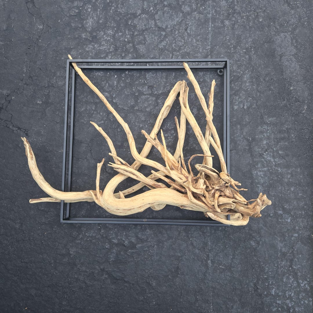 Juniper Root Driftwood Sculpture Metal Cage Framed Wall Hanging - Etsy