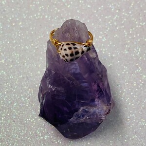 Hawaii Hebrew Cone Shell Gold or Silver Wire Wrapped Ring - Etsy