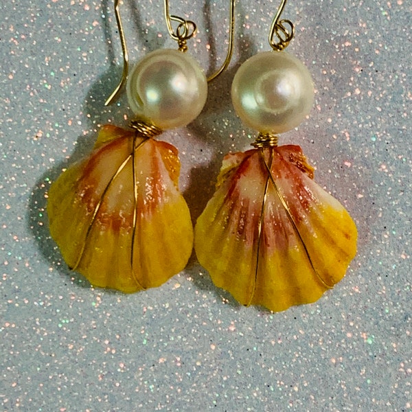 Sea Shell Wire Wrap - Etsy