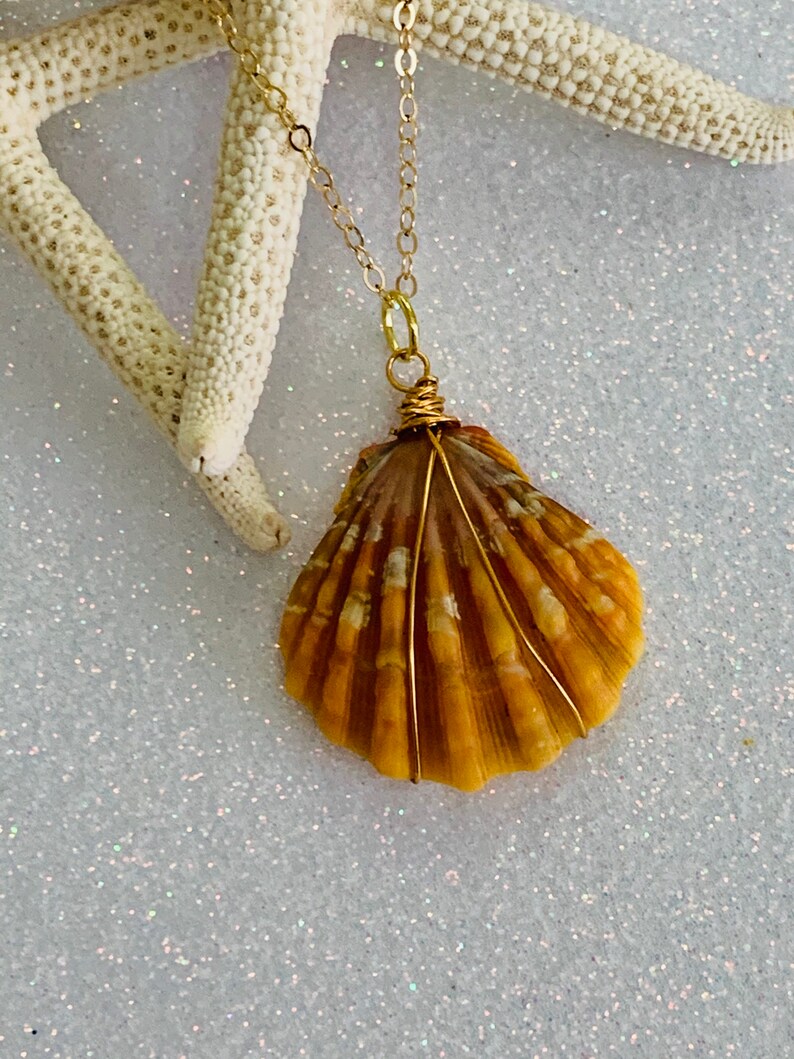Hawaii Sunrise Shell Gold Filled Wire Wrapped Necklace | Etsy