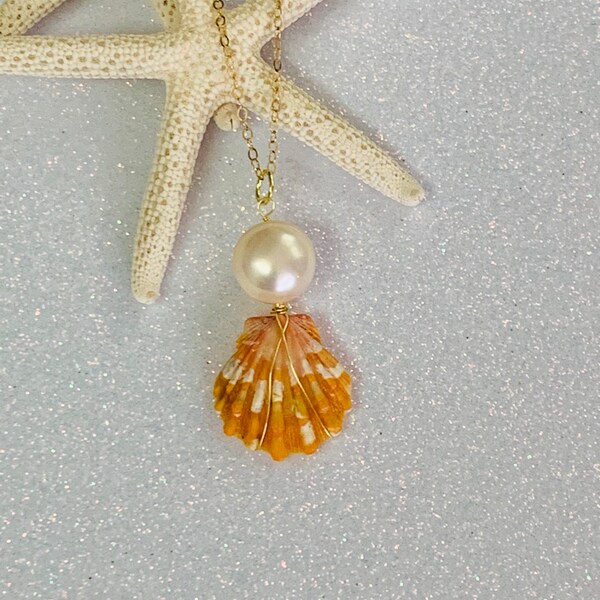 Large Sunrise Shell - Etsy