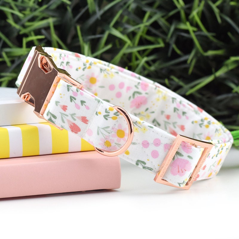 Spring Dog Collar - Etsy