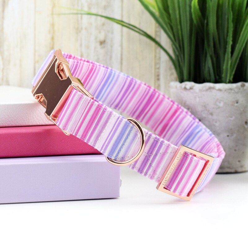 Cute Dog Collar - Etsy