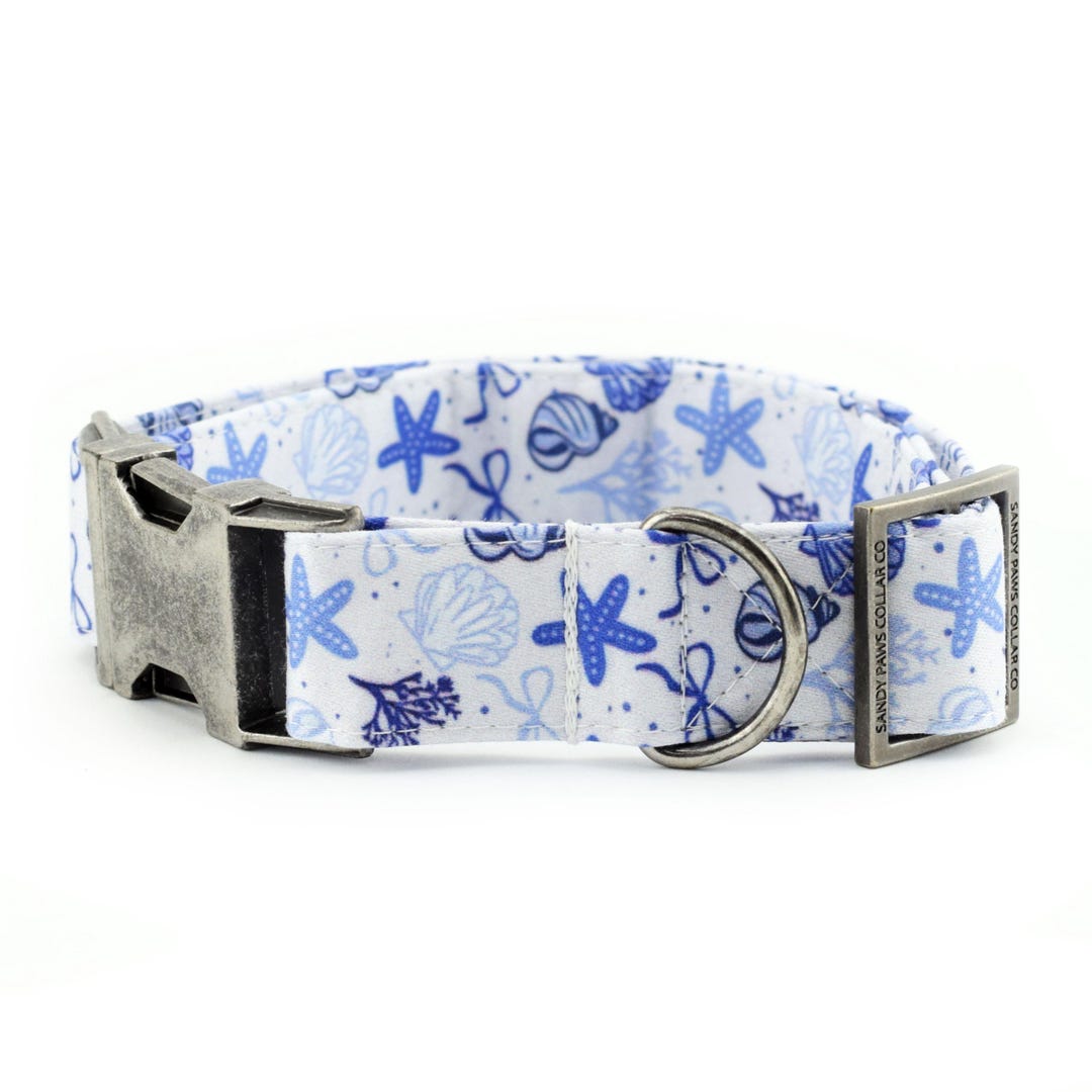 Bows & Seashells Dog Collar ~ Beach Theme Dog Collar ~ Cute Dog Collar ...