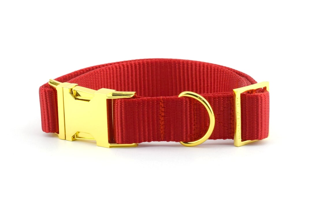 Webbing Dog Collar - Solid Red ~ Solid Nylon Webbing Dog Collar ...