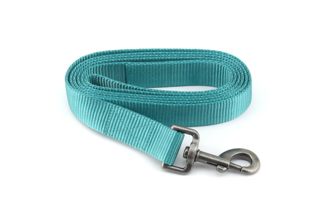Webbing Dog Leash - Solid Teal ~ Solid Nylon Webbing Dog Leash ~ Sandy ...
