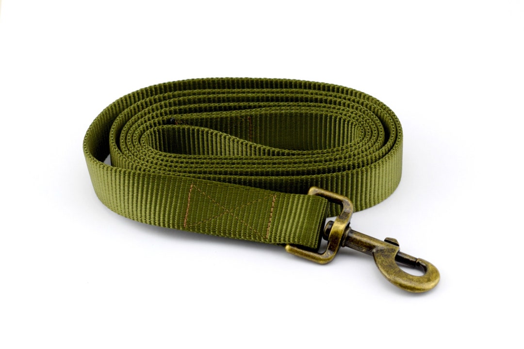 Webbing Dog Leash - Solid Hunter Green ~ Solid Nylon Webbing Dog Leash ...