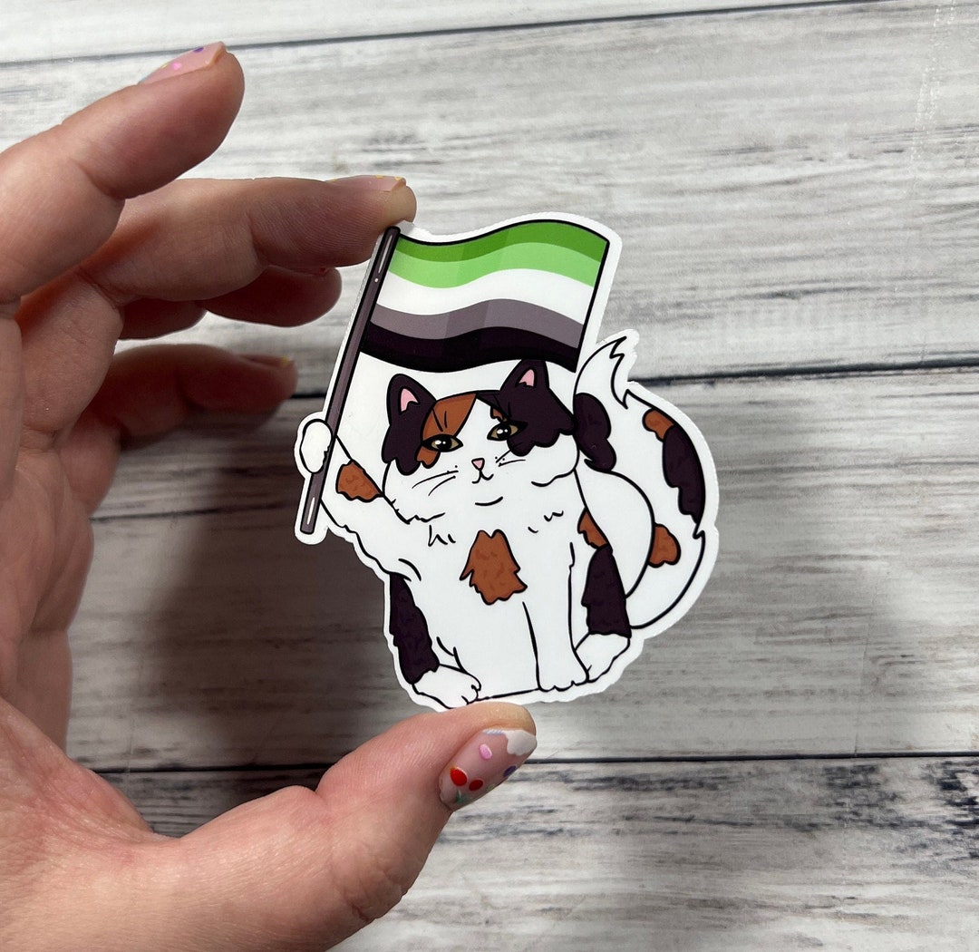 Aromantic Pride Cat Glossy Vinyl Water Resistant Sticker High-quality ...
