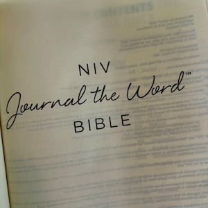 Hand Painted Bible// Double Column Journaling Bible//niv ESV NKJV She ...