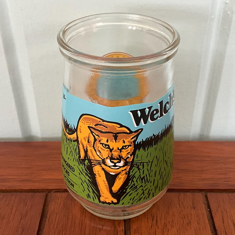 Welch';s Jelly - Etsy